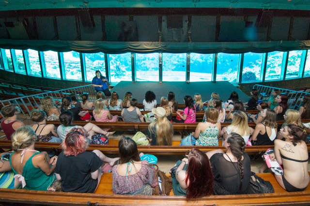 Venues - Weeki Wachee Springs State Park