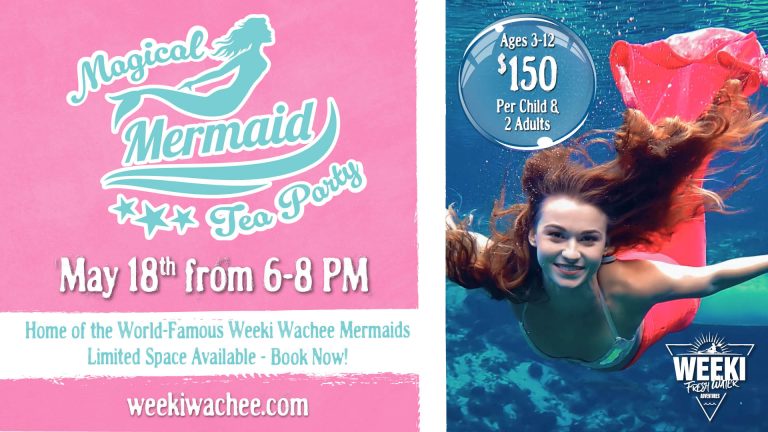 Winter Waterland - Weeki Wachee Springs State Park